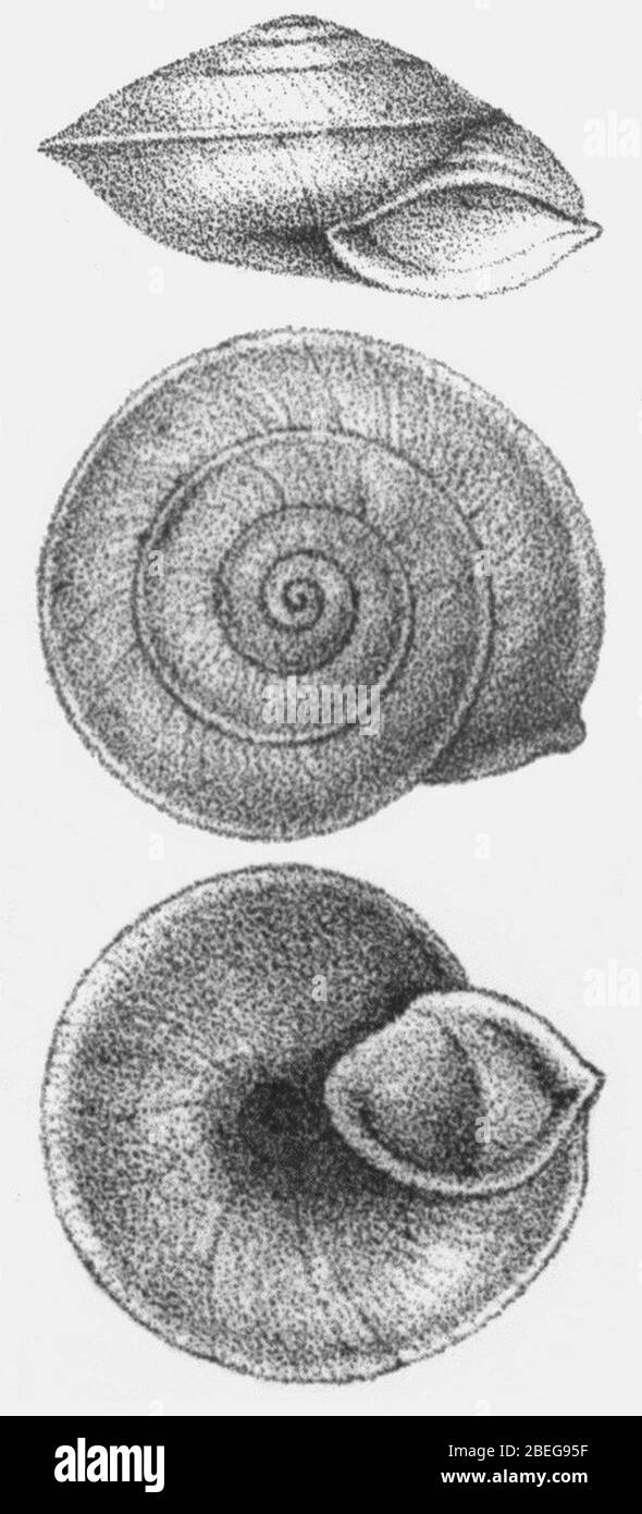 1875 1884 Black and White Stock Photos & Images - Alamy