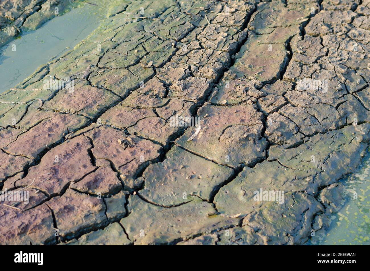 Dried mud in a puddle. Cracks in the dry land. Top view at an angle ...