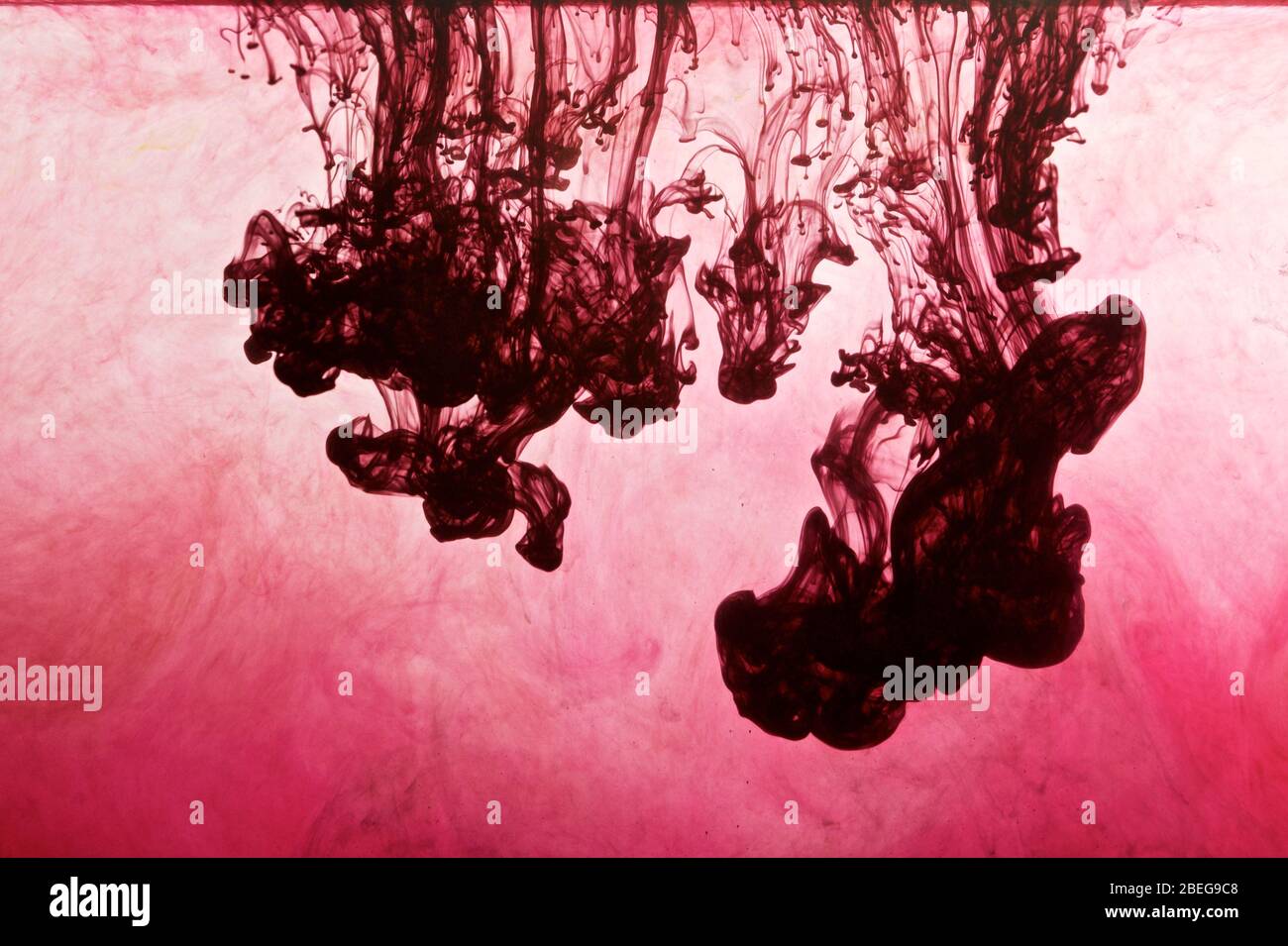 inks in water, color abstract explosion Stock Photo - Alamy