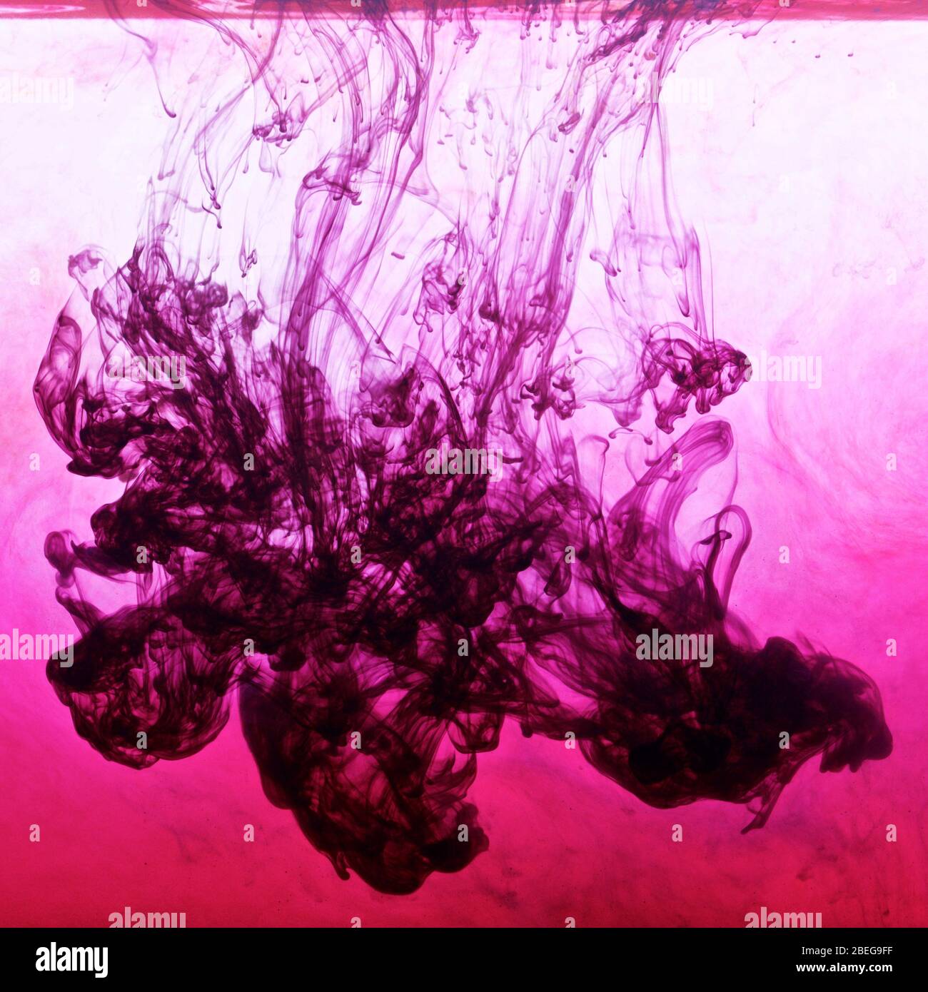 inks in water, color abstract explosion Stock Photo - Alamy