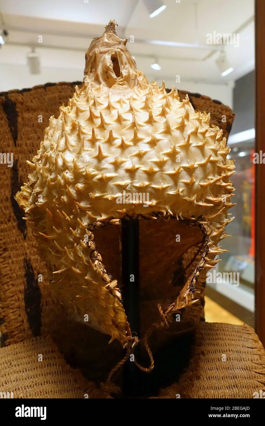 Helmet, Gilbert Islands, Kirabati, porcupinefish or pufferfish skin ...