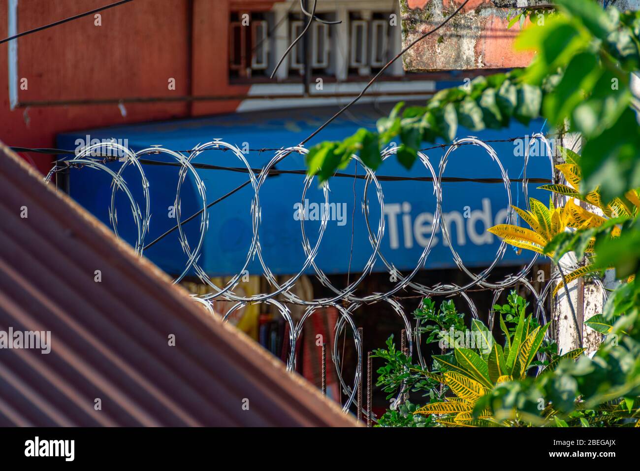 Coils of razor wire on wall of a house compound in Guazacapan ...