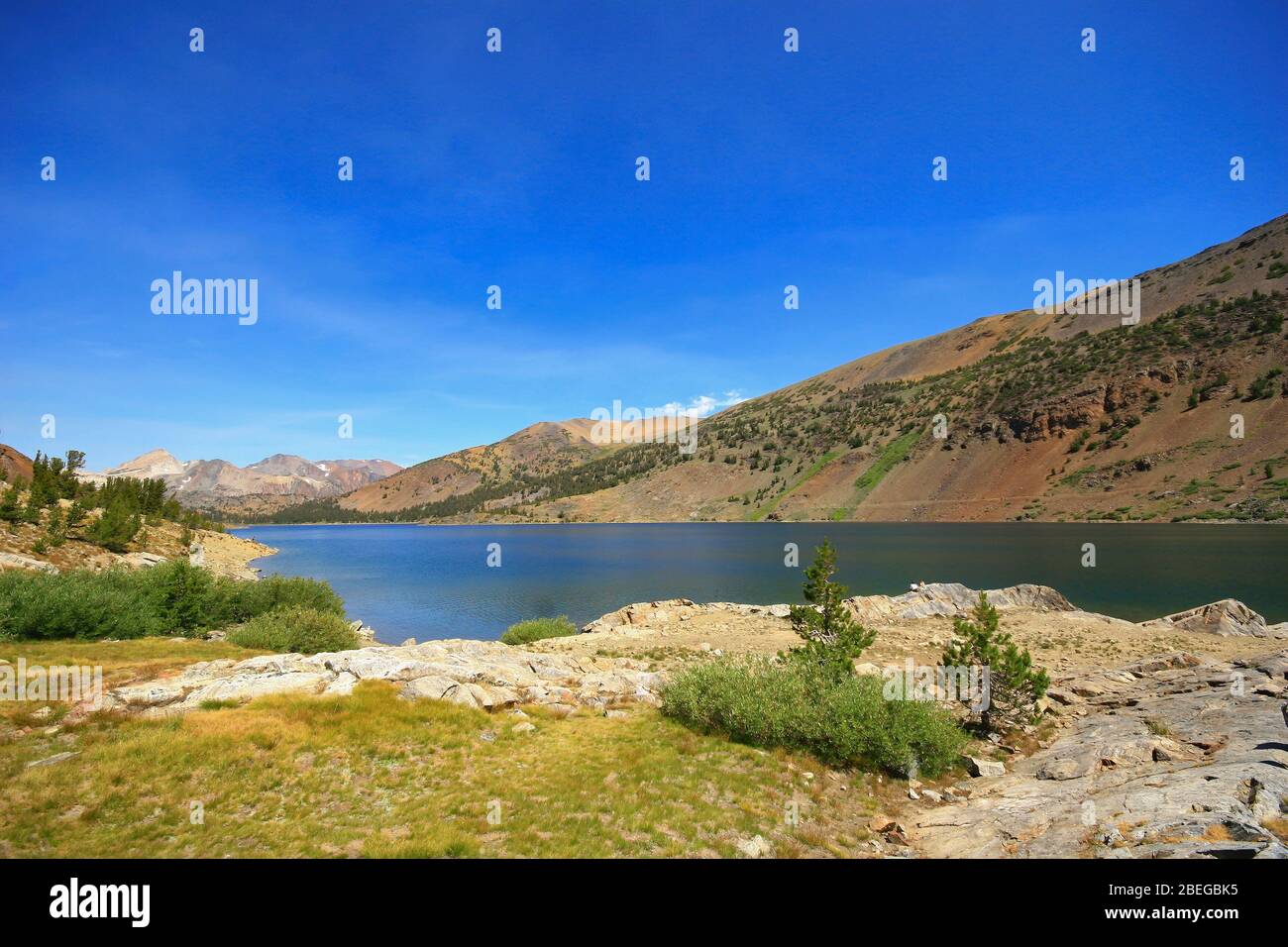 Sunny view of the Saddlebag Lake at Inyo, California Stock Photo - Alamy