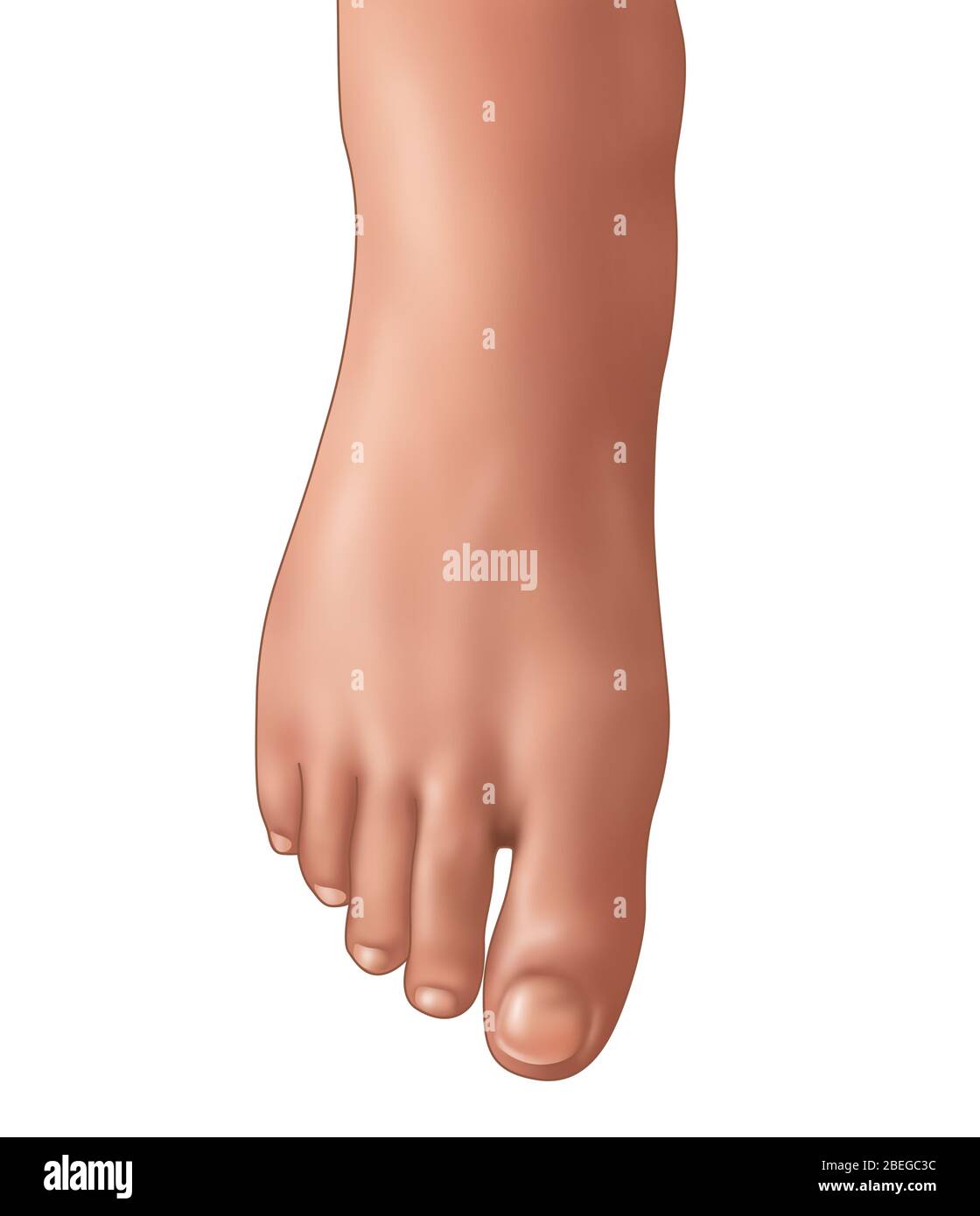 Foot hi-res stock photography and images - Alamy