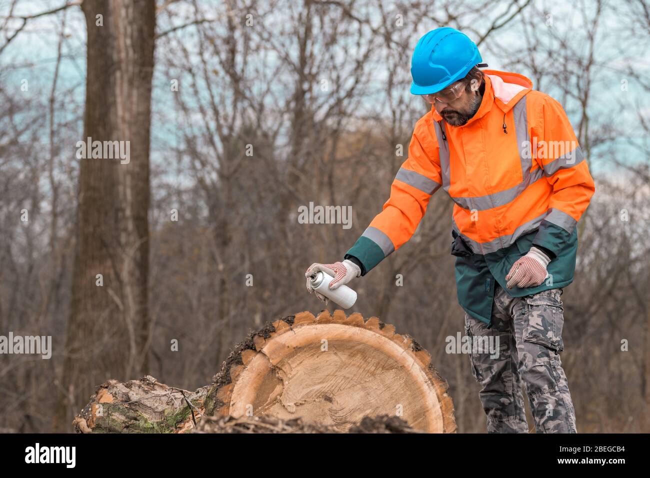 Man cutting tree in forest hi-res stock photography and images - Alamy