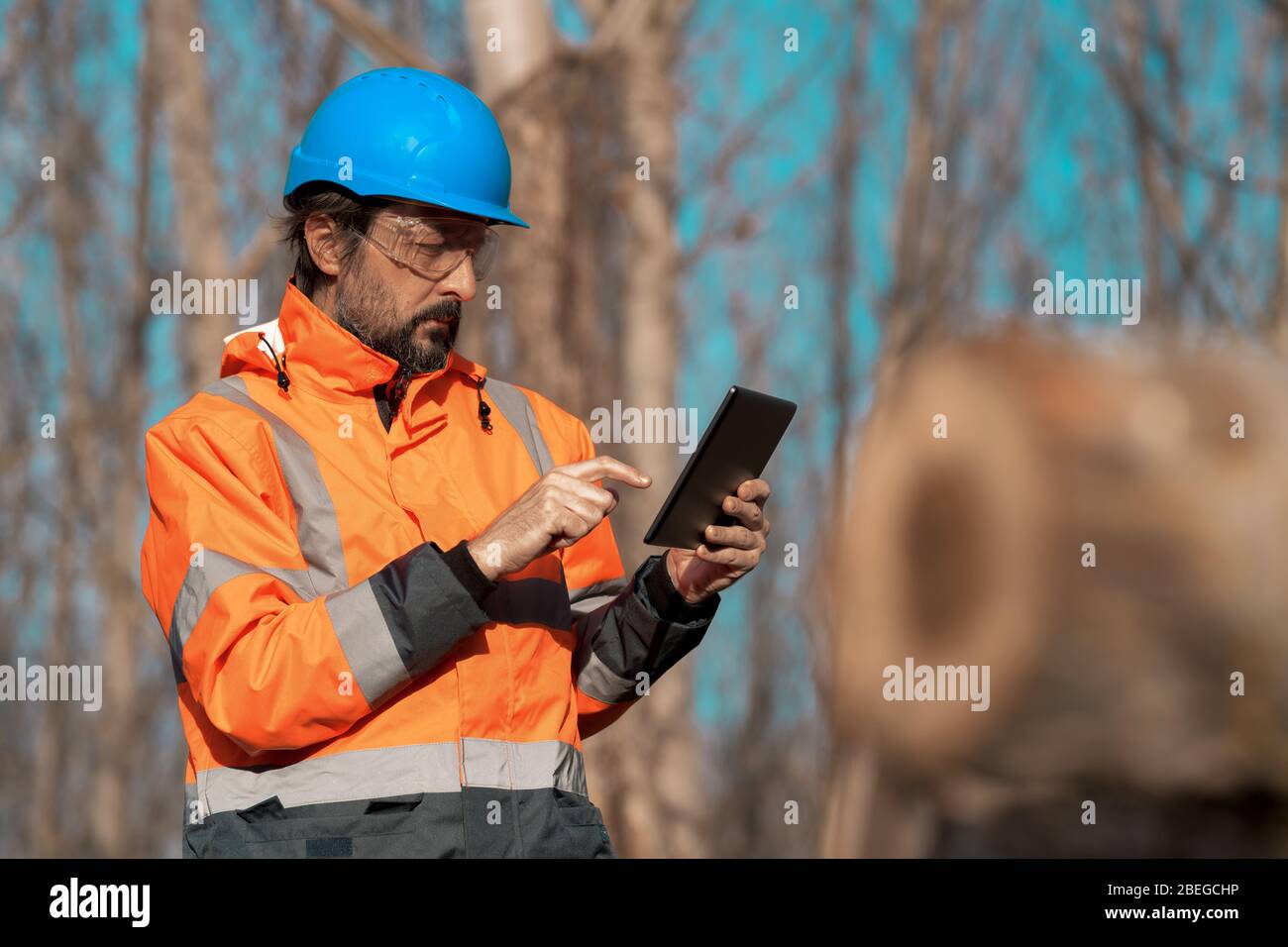 Forestry technician using digital tablet computer in forest for logging ...
