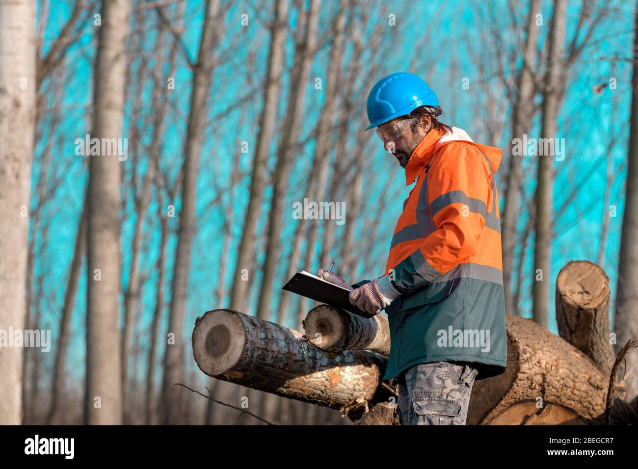 Forestry technician writing logging process notes on clipboard notepad ...