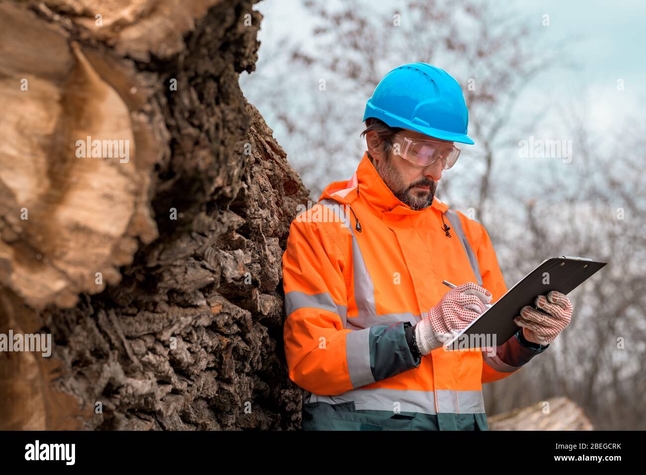 Forestry technician writing notes on clipboard notepad paper in forest ...