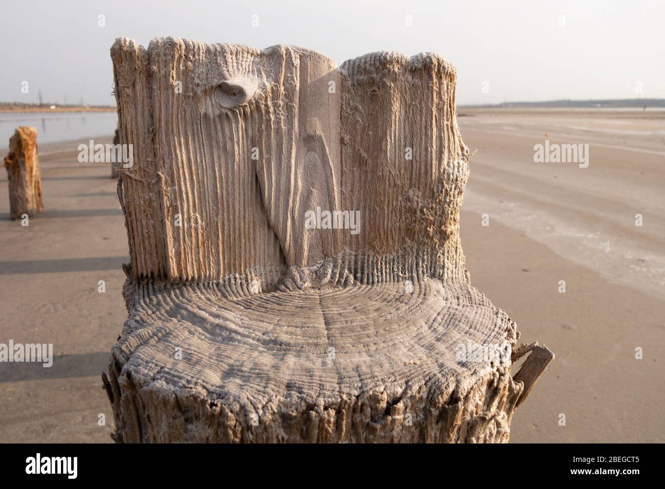Fancy texture of ancient wooden pillars covered with salt particles ...