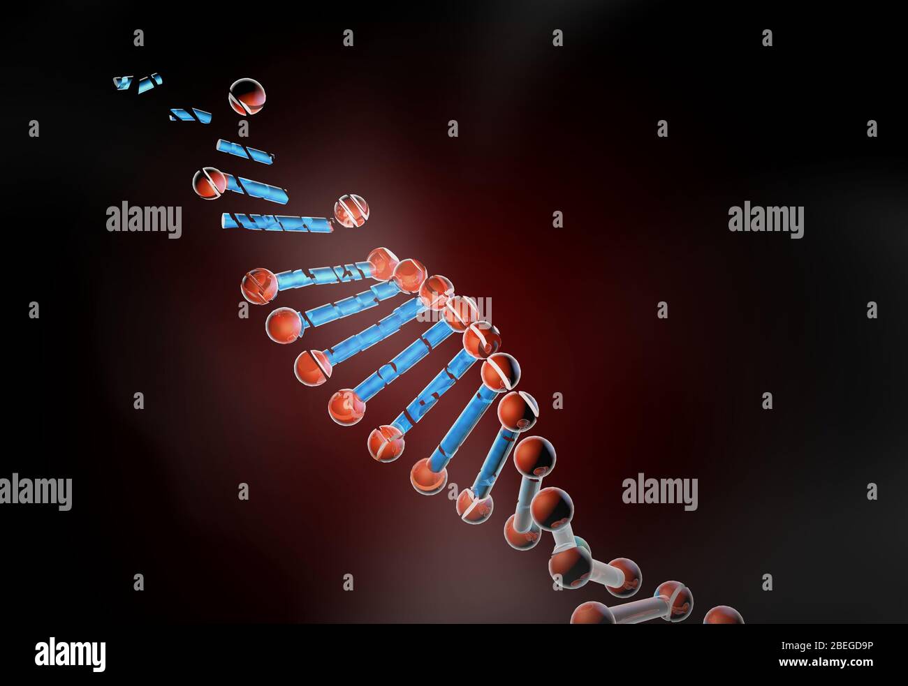 DNA Break, Illustration Stock Photo - Alamy