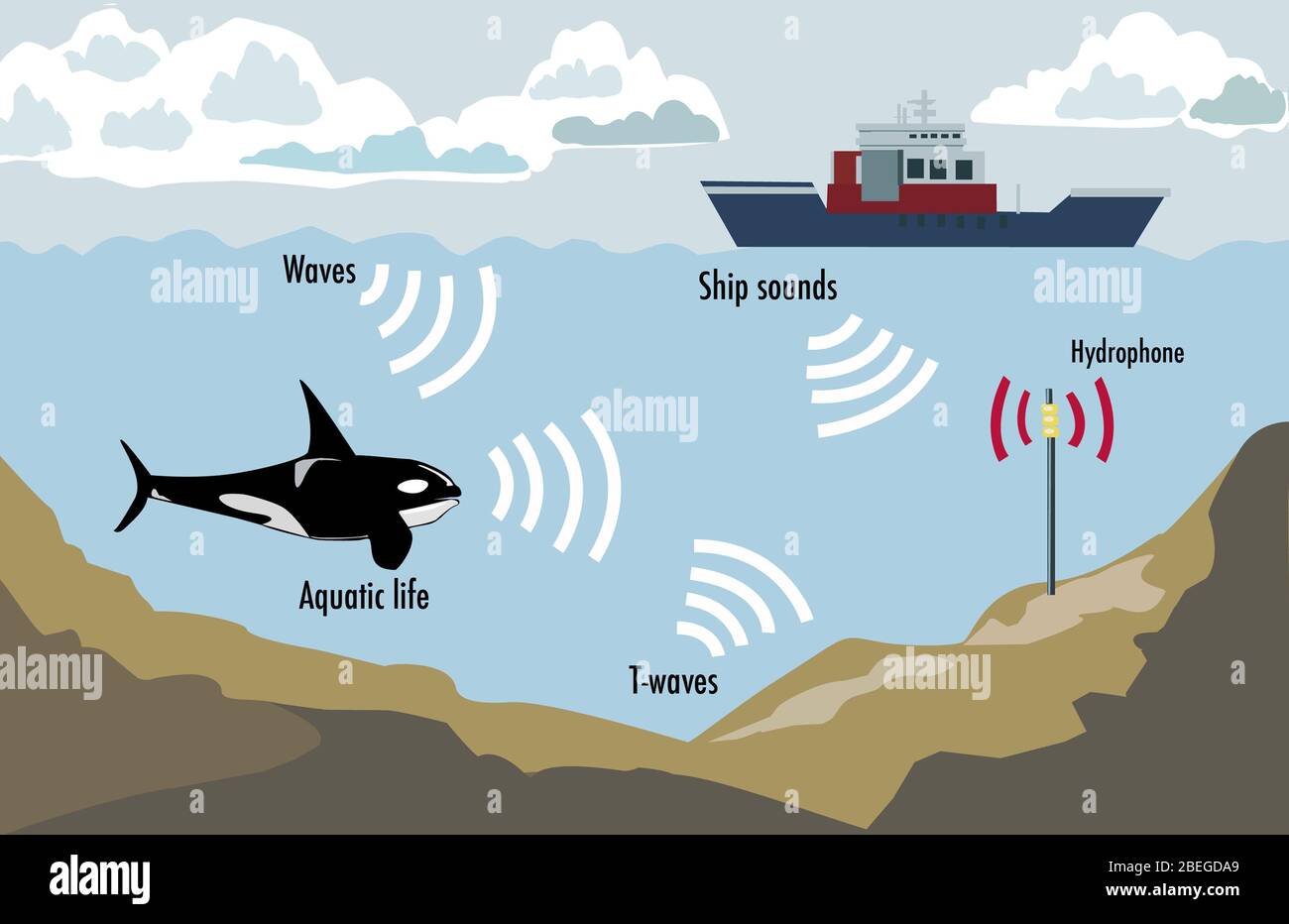 Hydrophone hi-res stock photography and images - Alamy