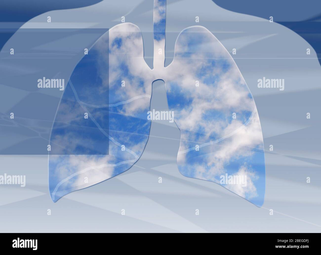 Non polluted lungs hi-res stock photography and images - Alamy