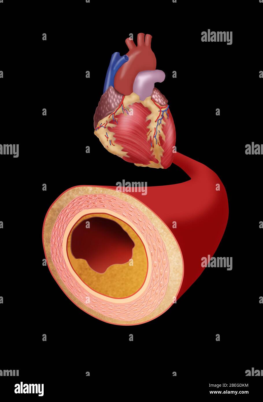 Heart Lining High Resolution Stock Photography and Images - Alamy