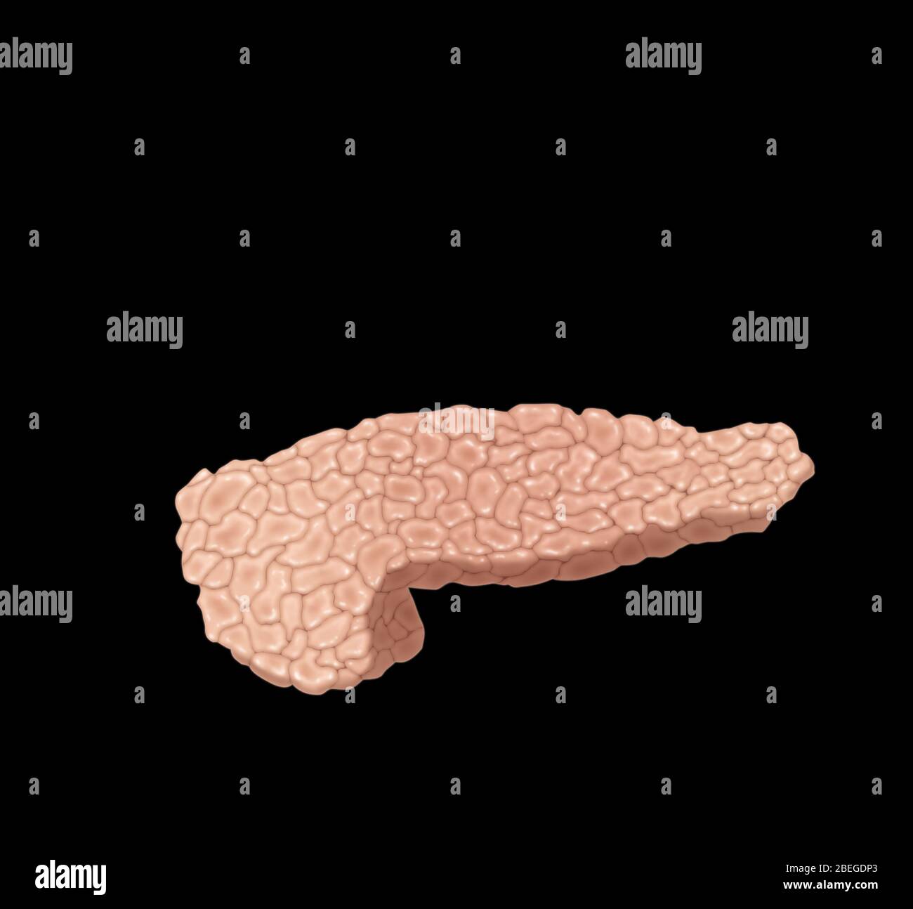 Diabetes pancreas hi-res stock photography and images - Alamy