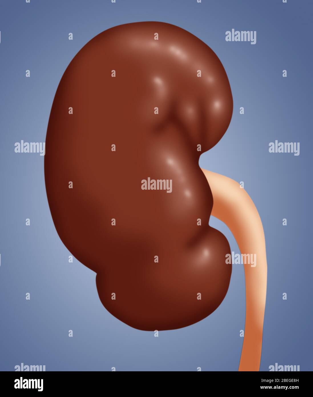 Column of bertin hi-res stock photography and images - Alamy