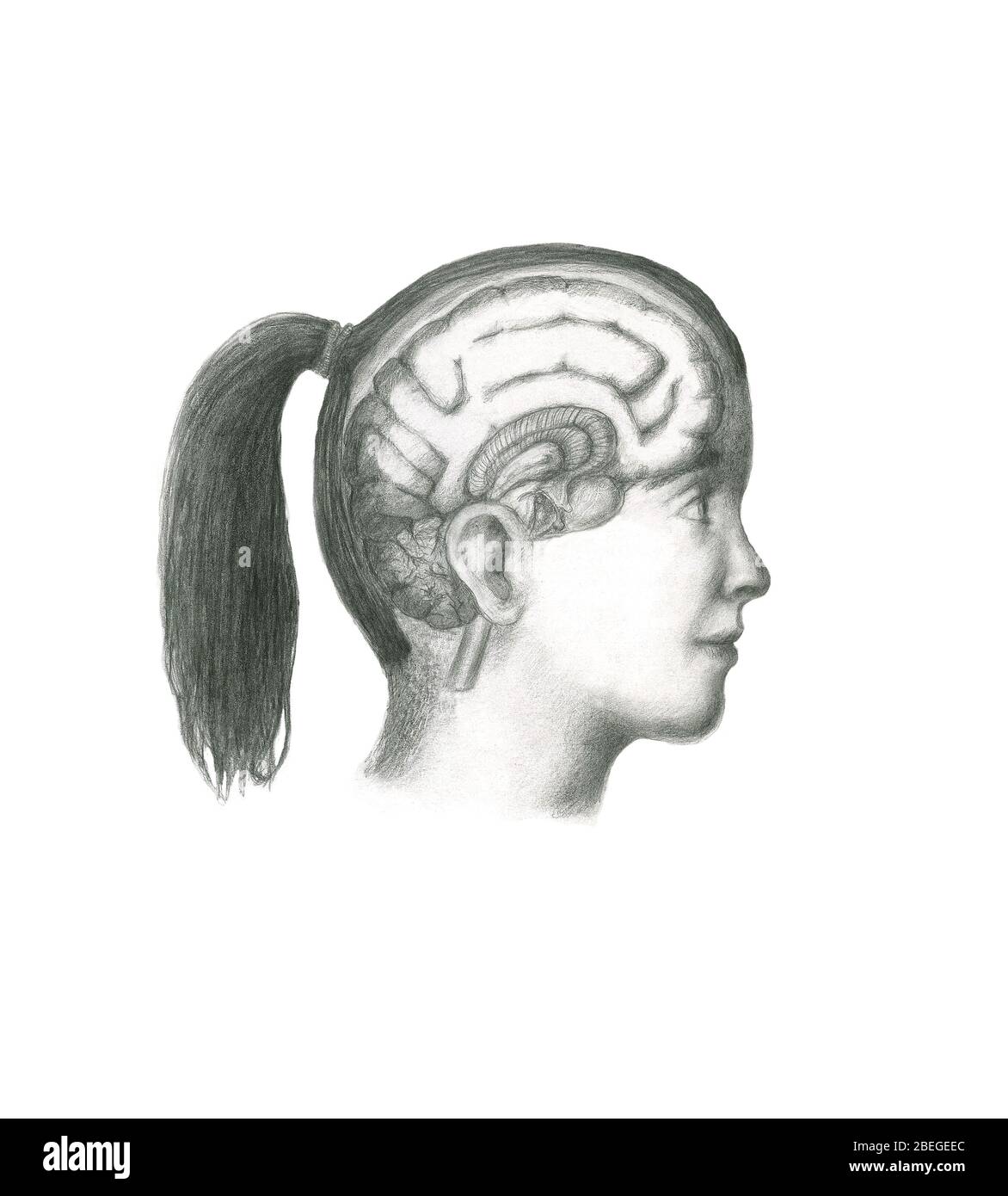 Art for girls Cut Out Stock Images & Pictures - Alamy