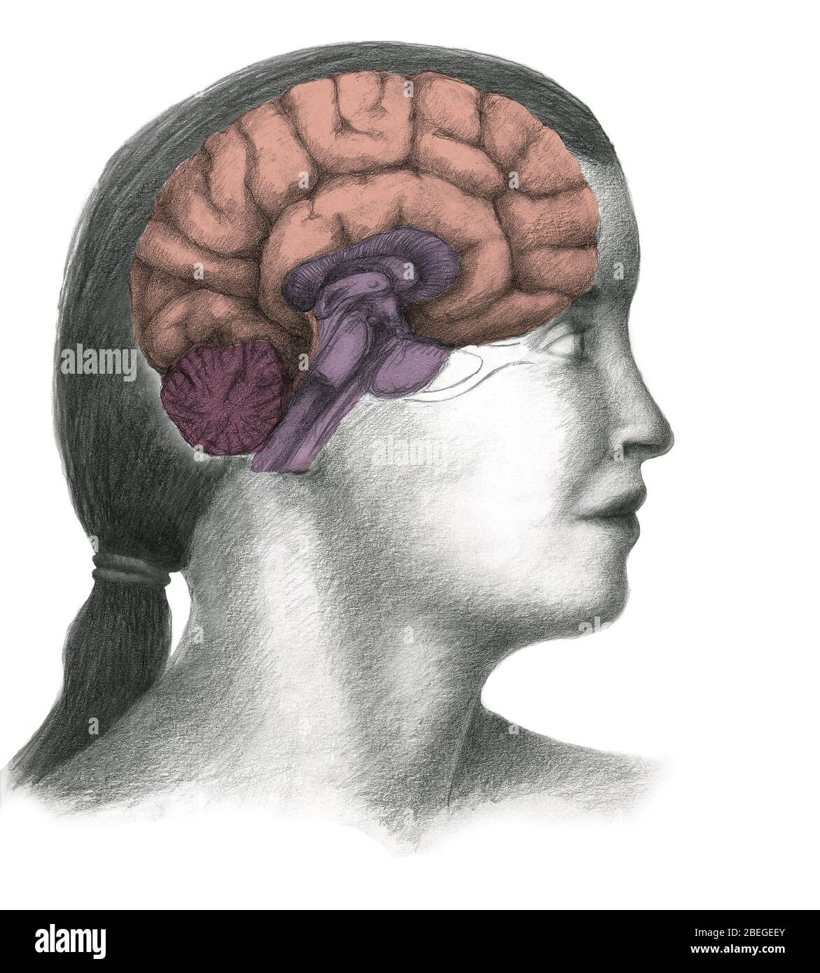 Normal girl hi-res stock photography and images - Alamy