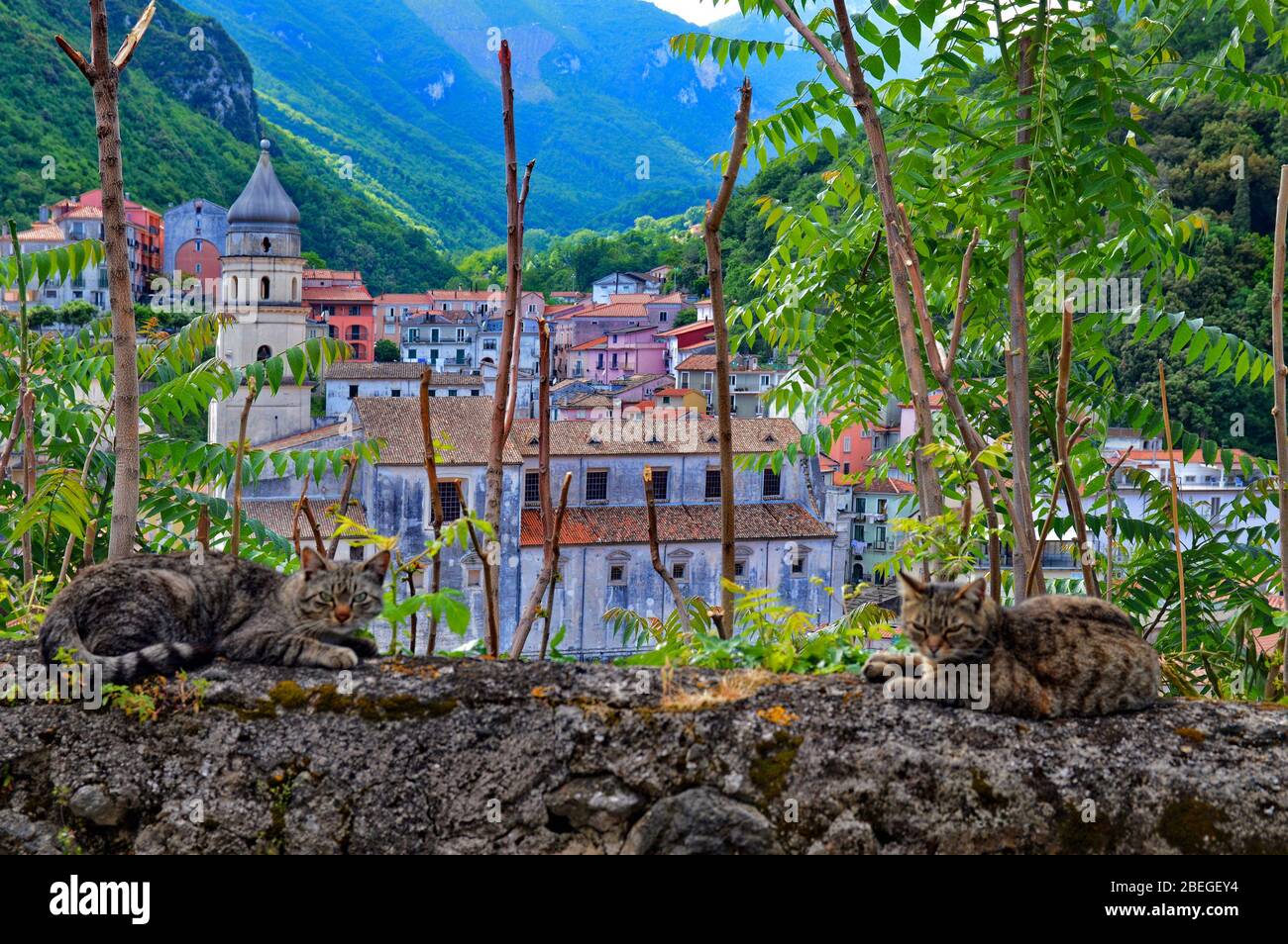 Campagna italy hi-res stock photography and images - Alamy