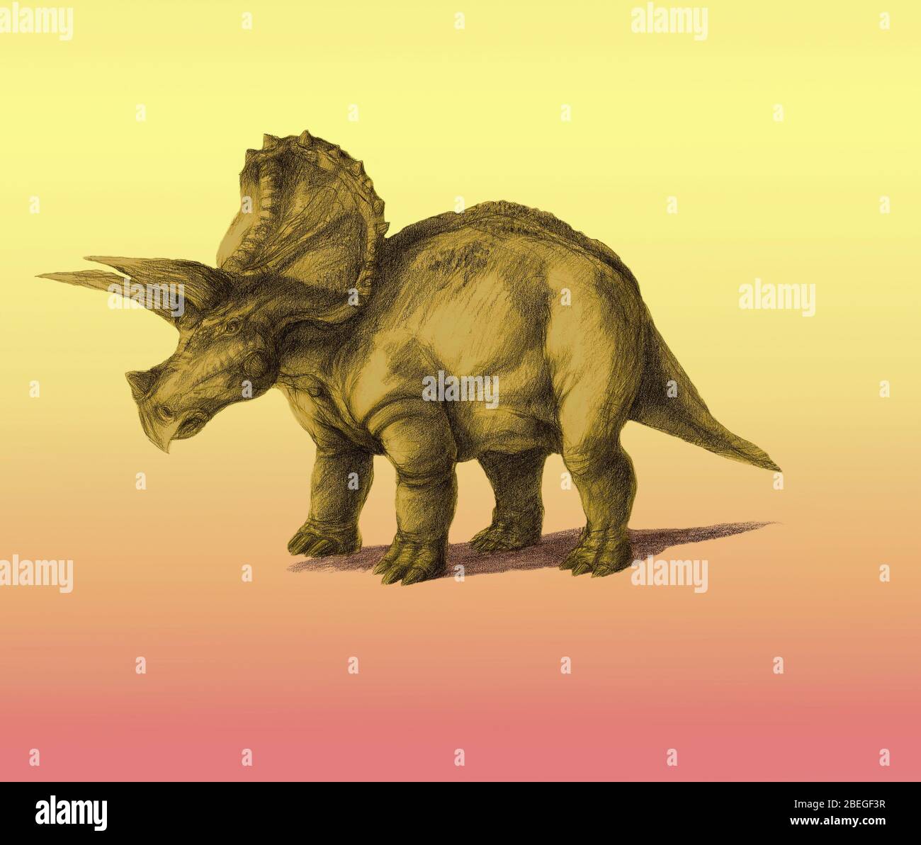 Ceratopsian dinosaur hi-res stock photography and images - Alamy