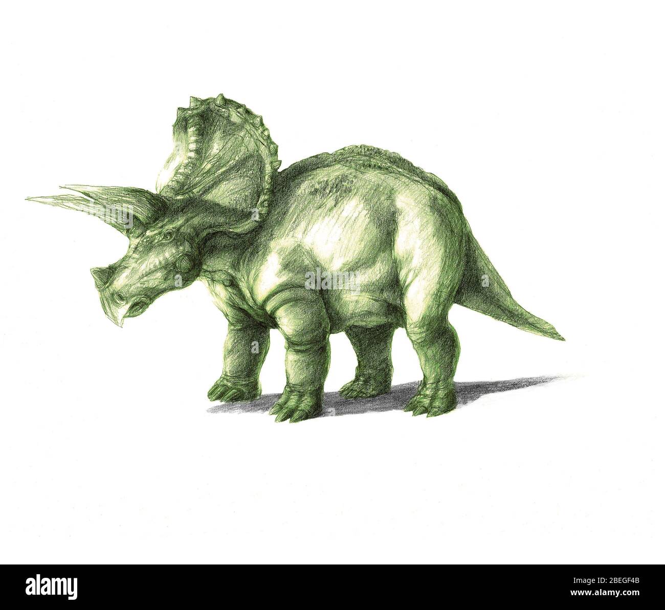 Triceratops cretaceous period hi-res stock photography and images - Alamy