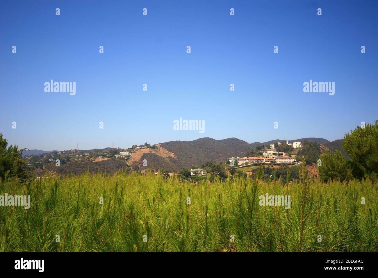 Sunny view of some beautiful building on the hills at Los Angeles ...
