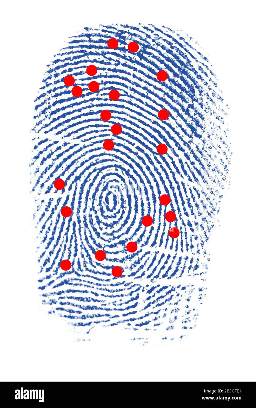 Whorl fingerprint hi-res stock photography and images - Alamy