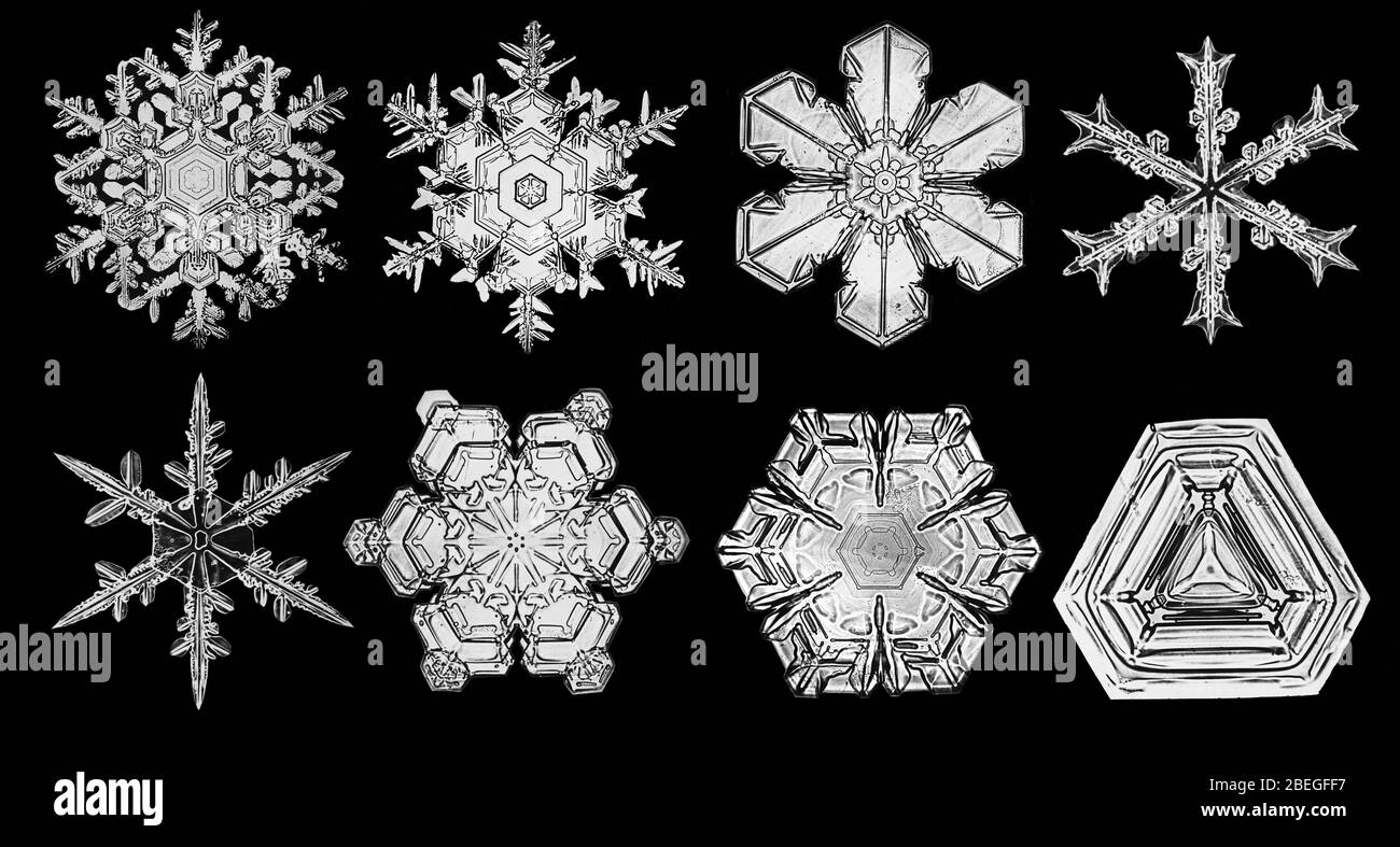 Snow crystal variety hi-res stock photography and images - Alamy