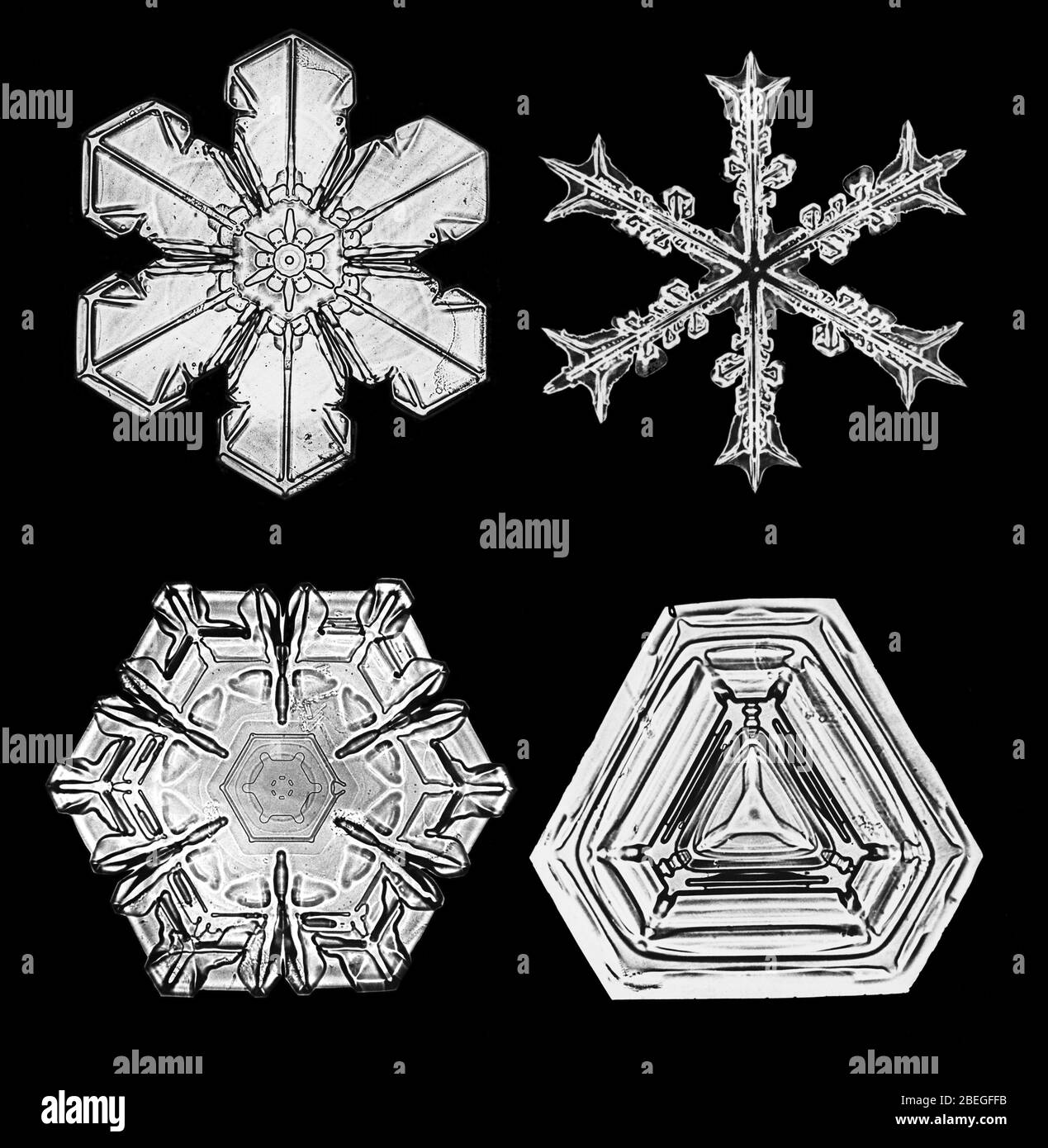 Snow crystal variety hi-res stock photography and images - Alamy