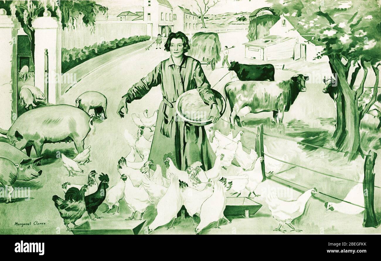illustration of a woman feeding animals on an Irish free state farm ...