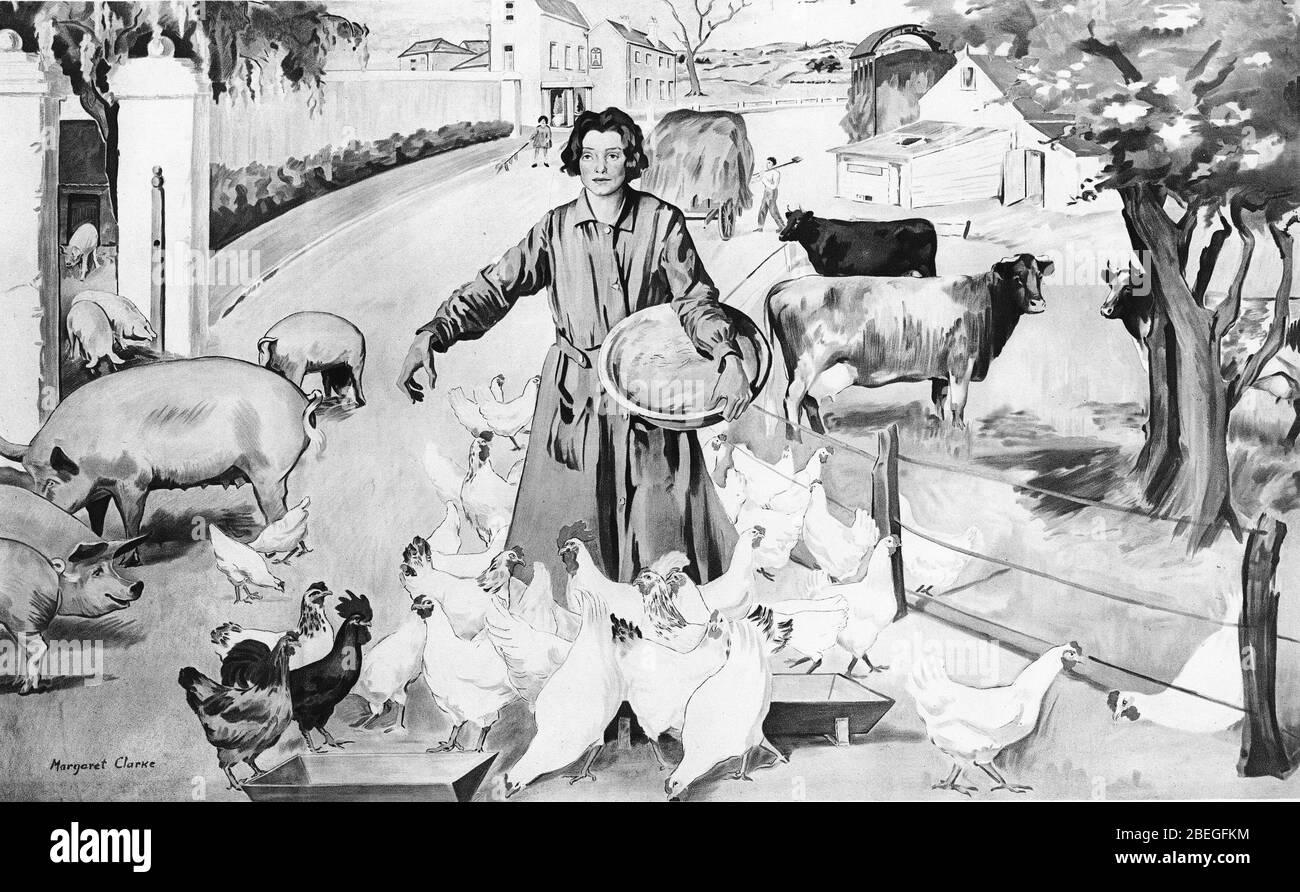 illustration of a woman feeding animals on an Irish free state farm ...