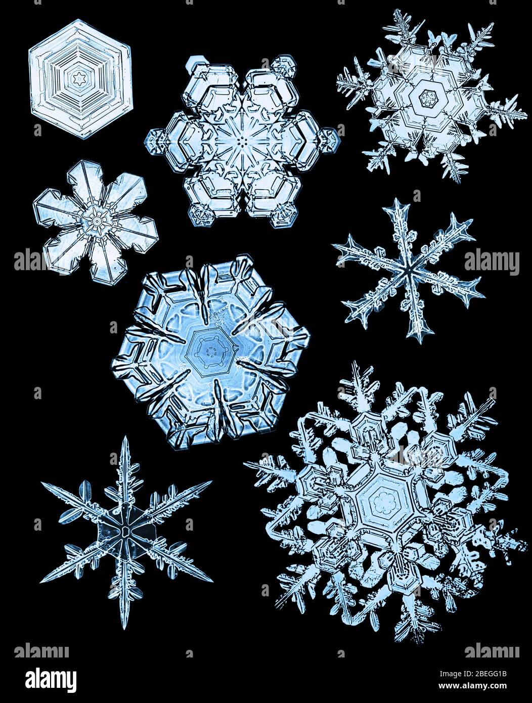 Snow crystal variety hi-res stock photography and images - Alamy