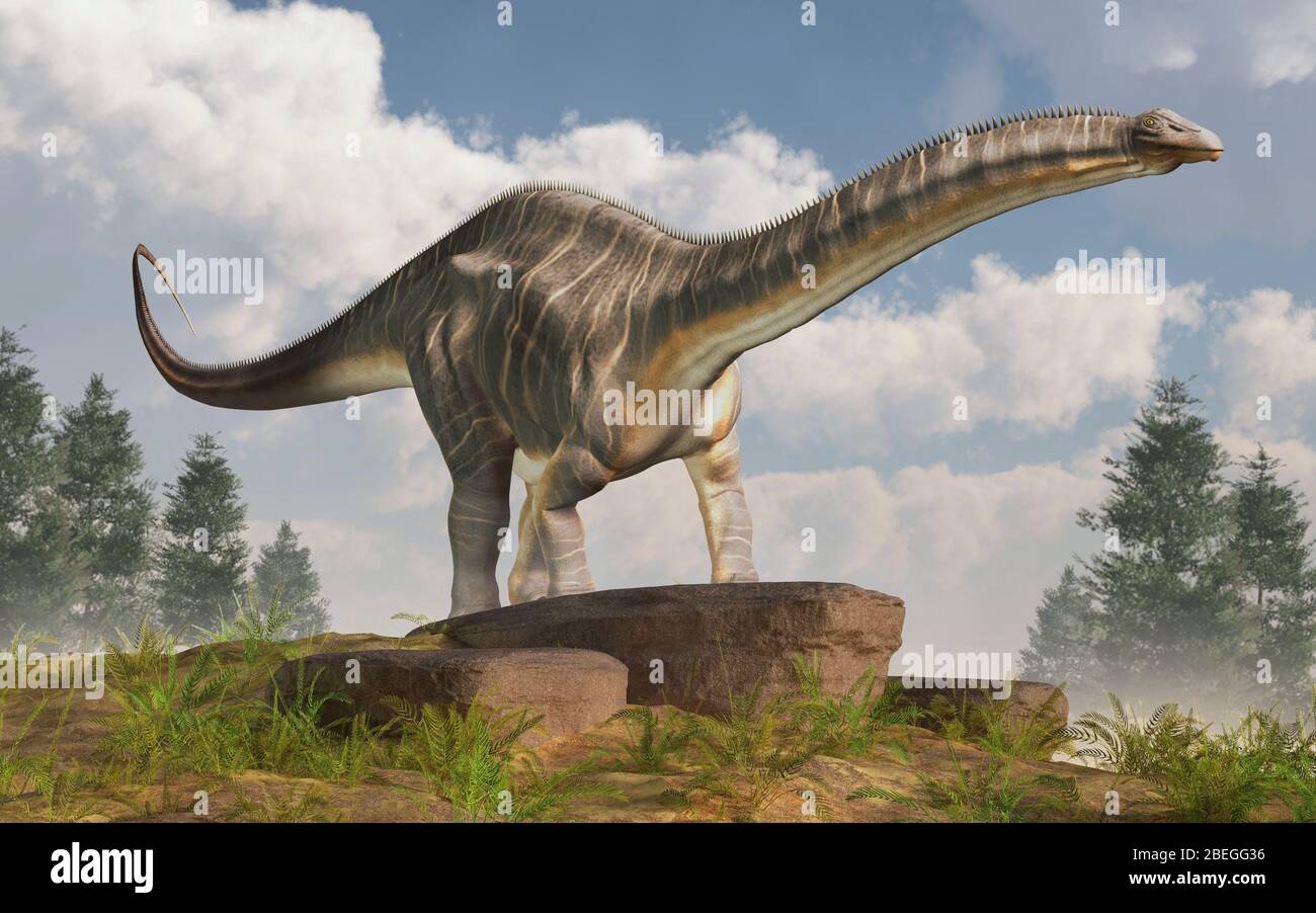 Late cretaceous period fossil hi-res stock photography and images - Alamy