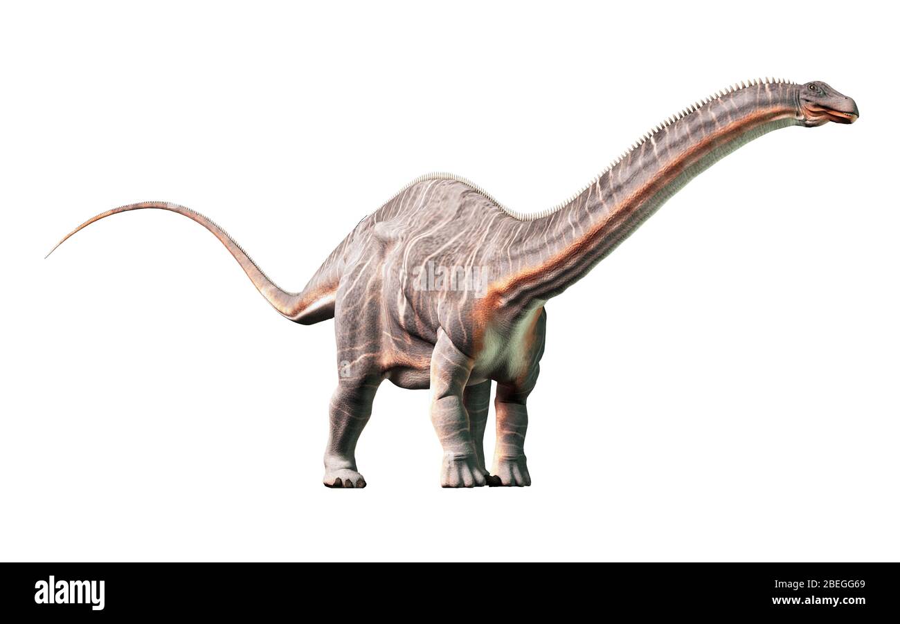 Apatosaurus Cut Out Stock Images & Pictures - Alamy