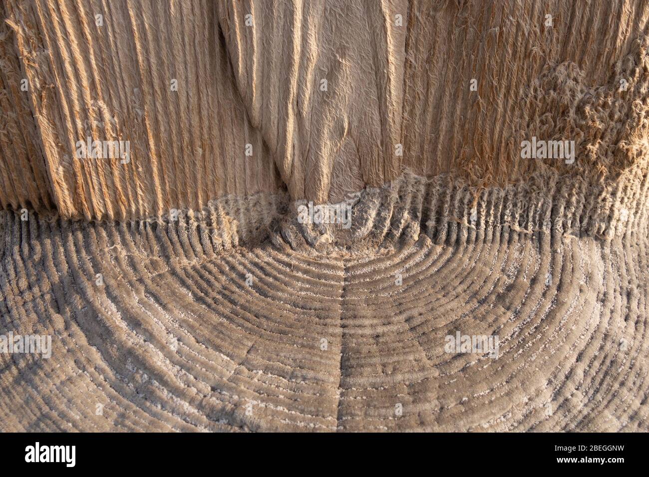 Fancy texture of ancient wooden pillars covered with salt particles ...