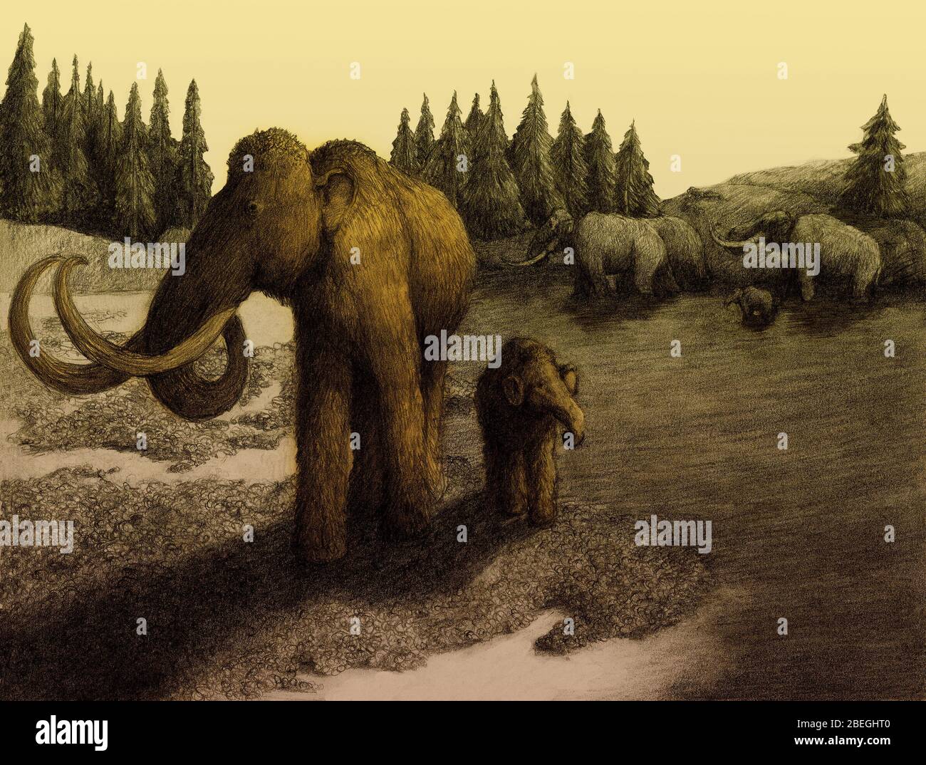 Ice age mammoth illustration hi-res stock photography and images - Alamy