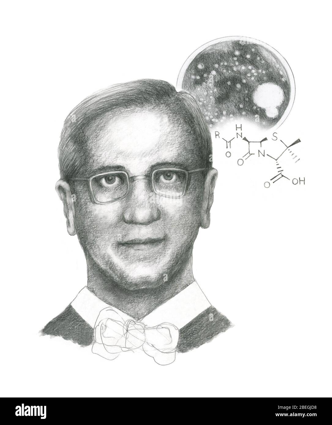 Penicillium notatum hi-res stock photography and images - Alamy