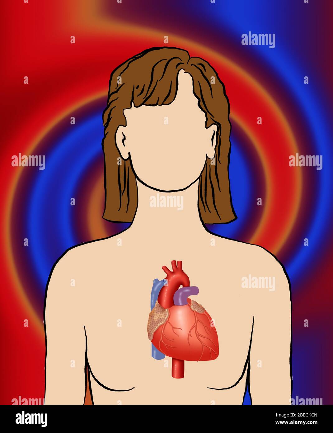 Position of the heart Stock Photo - Alamy