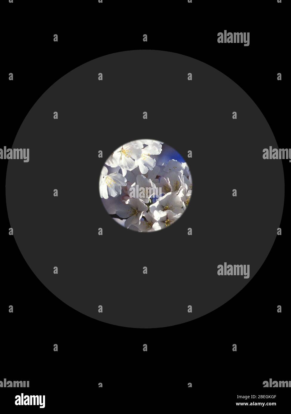 Glaucoma tunnel vision hi-res stock photography and images - Alamy