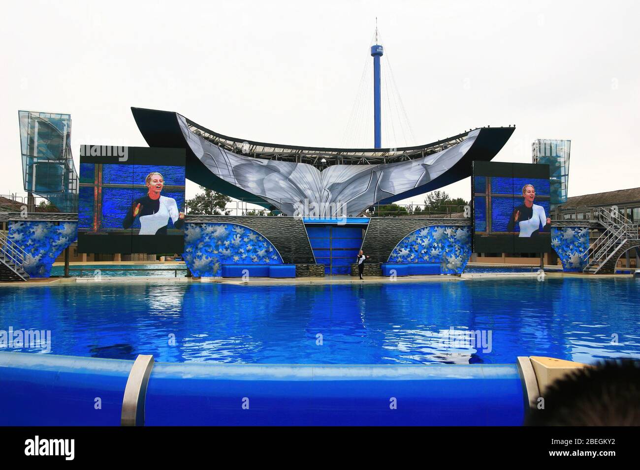 San Diego, AUG 19, 2009 - Killer Whales sea animal show at SeaWorld ...