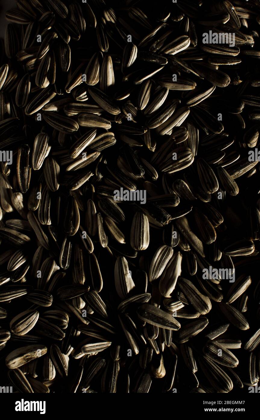 Sunflower seeds close up abstract background pattern Stock Photo - Alamy