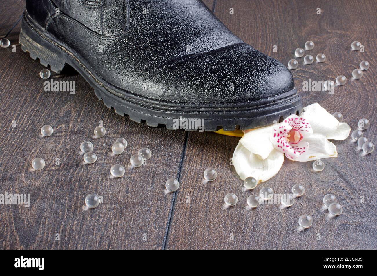 Orchid flowers crashed by black leather male shoe Stock Photo - Alamy
