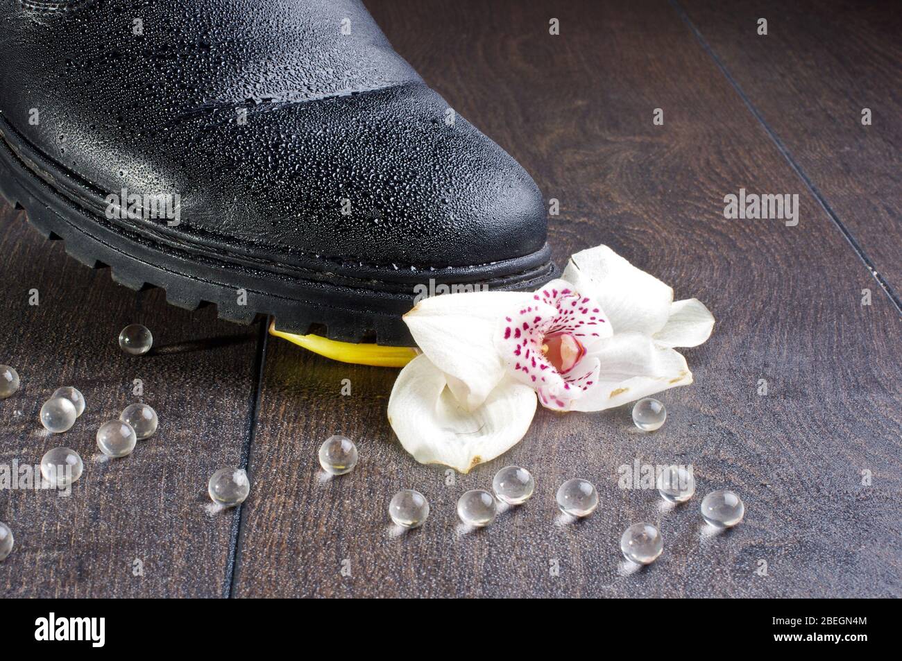 Orchid flowers crashed by black leather male shoe Stock Photo - Alamy