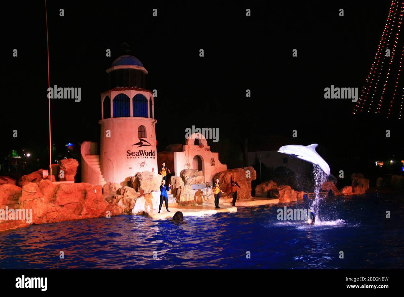 At dolphins night hi-res stock photography and images - Alamy