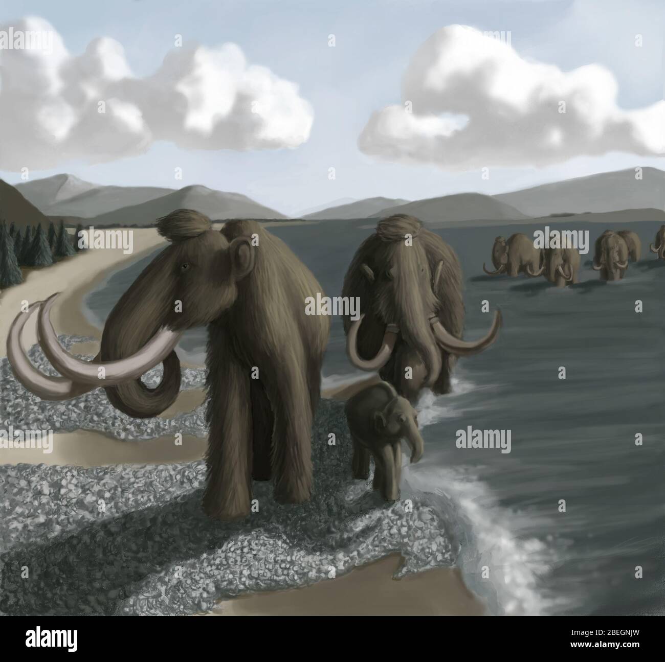 Ice age mammoth illustration hi-res stock photography and images - Alamy
