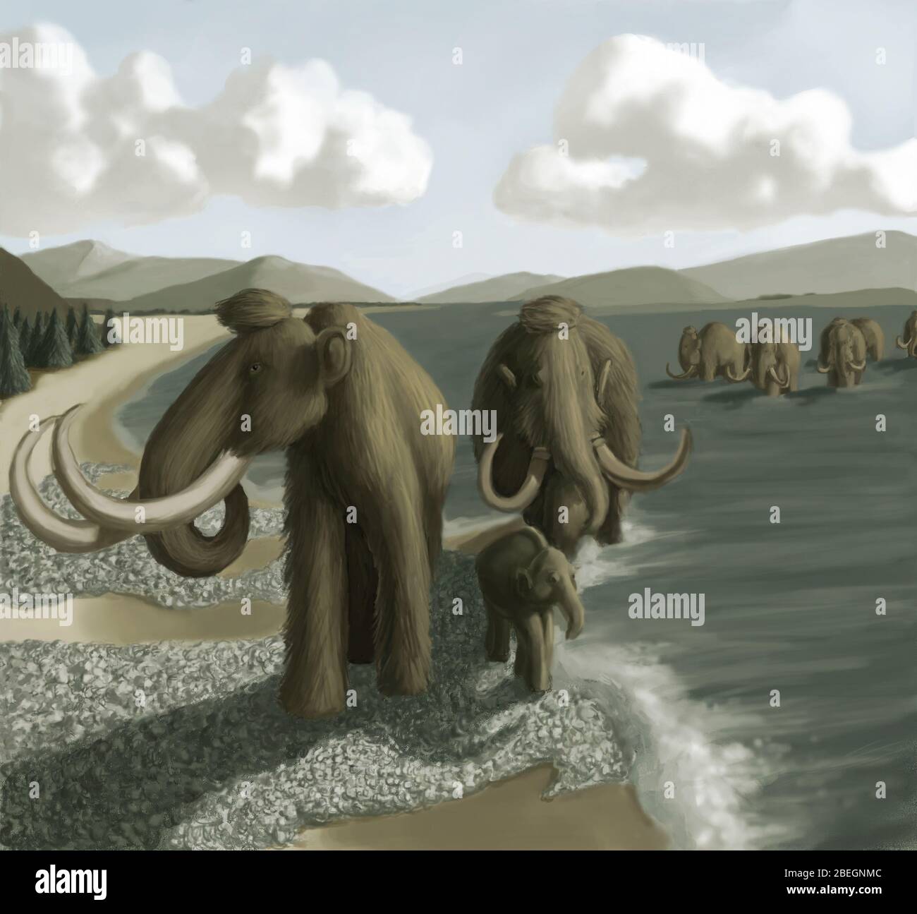 Woolly mammoth illustration hi-res stock photography and images - Alamy