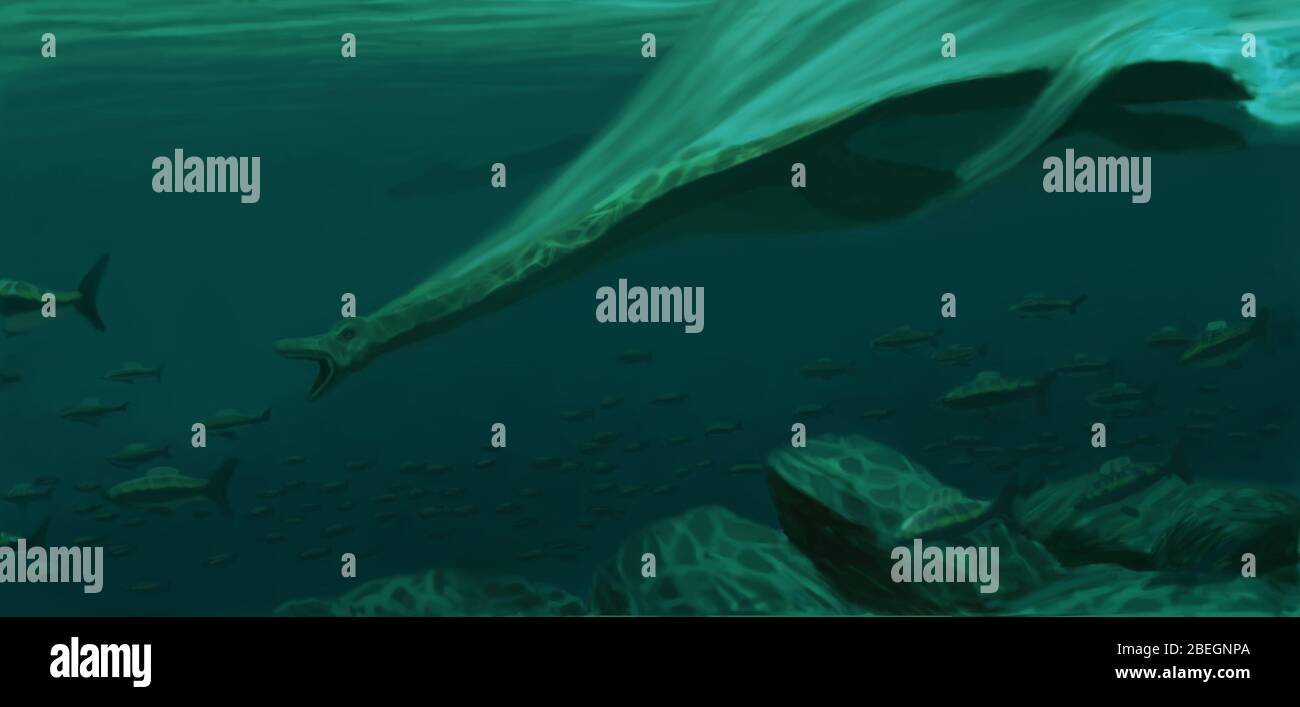 Plesiosaur hi-res stock photography and images - Alamy