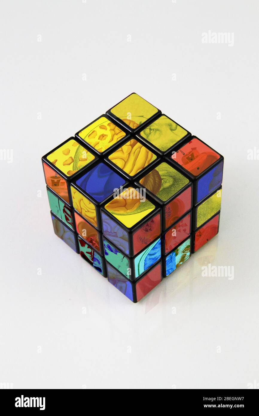 Anatomical rubiks cube hi-res stock photography and images - Alamy