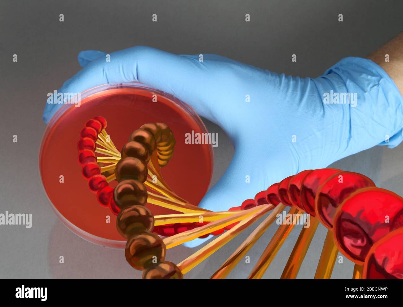 Gene therapy research hi-res stock photography and images - Alamy