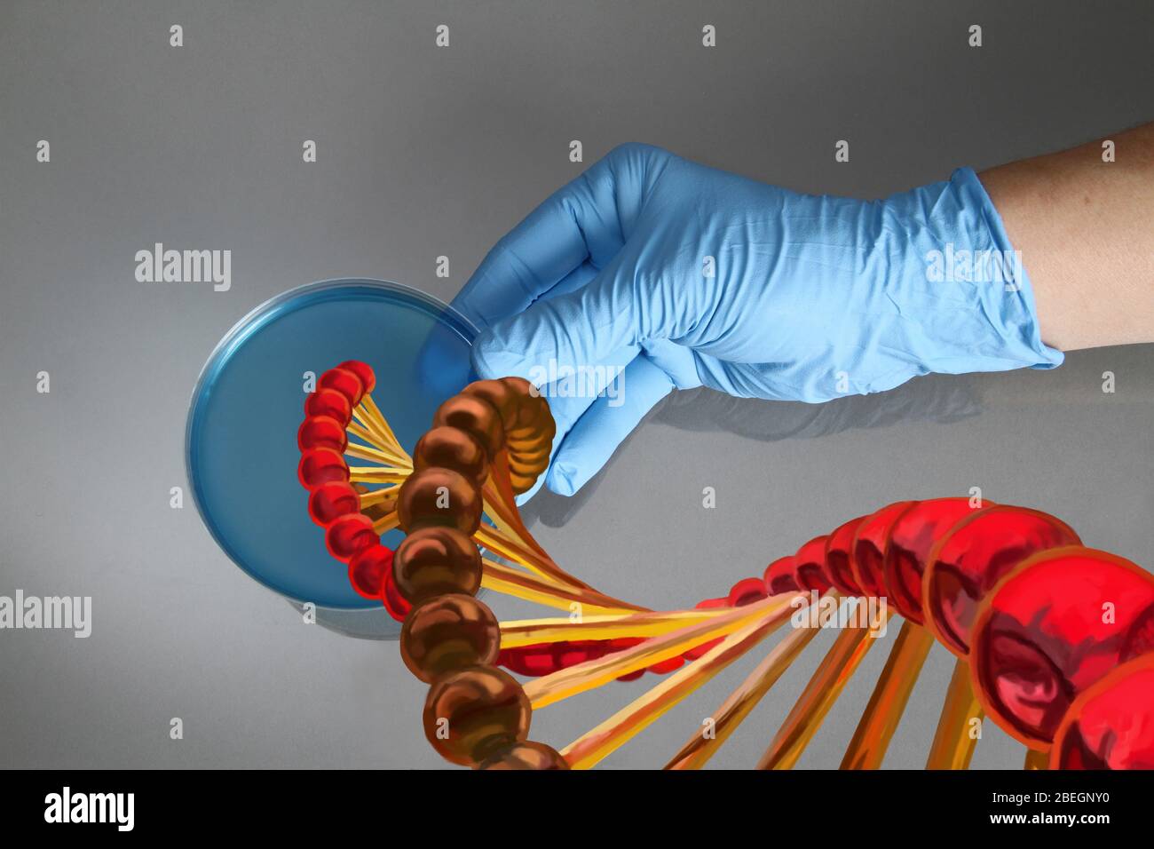 Genetic screening test baby hi-res stock photography and images - Alamy