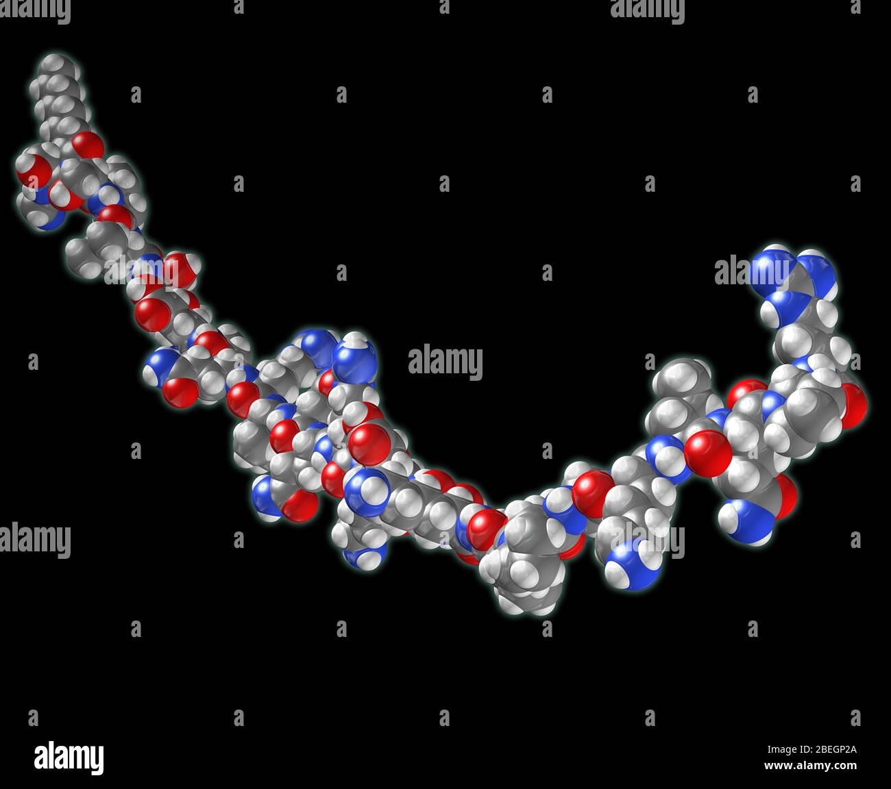 Ghrelin hi-res stock photography and images - Alamy
